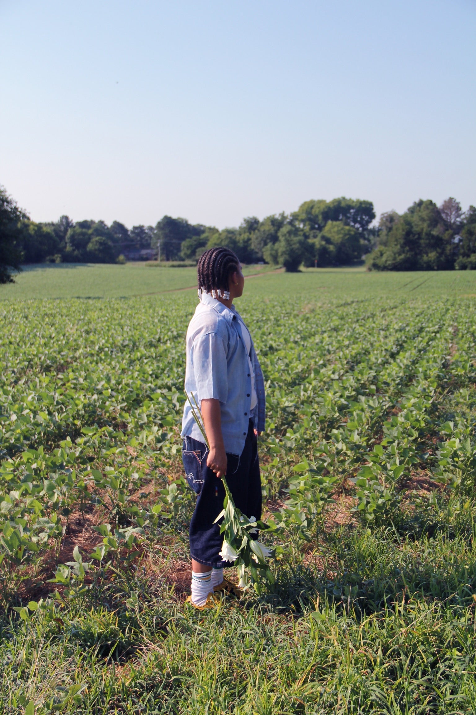 Portfolio – FIELD