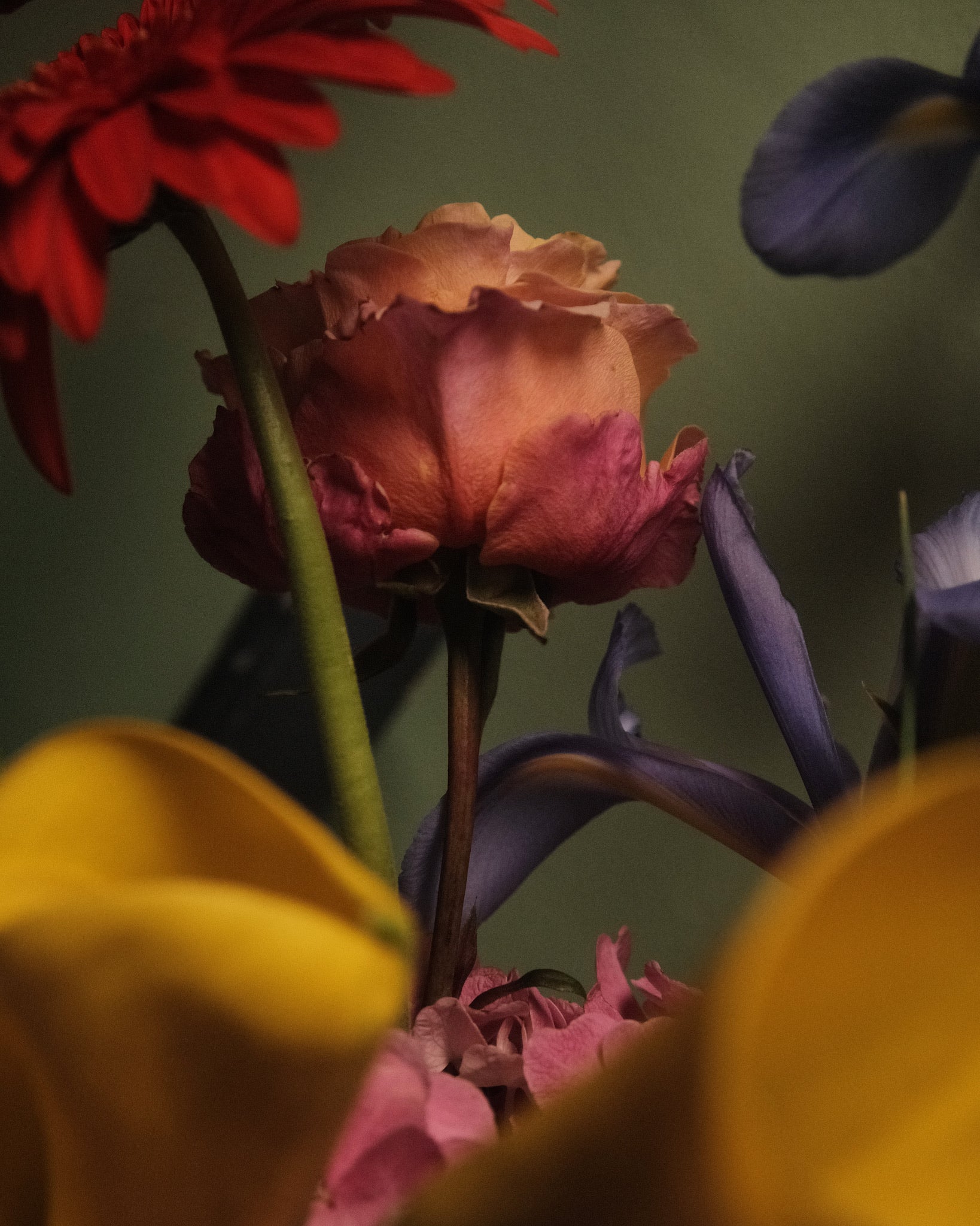 FIELD - Richmond, VA - Bouquets, Arrangements, Weddings, Deliveries