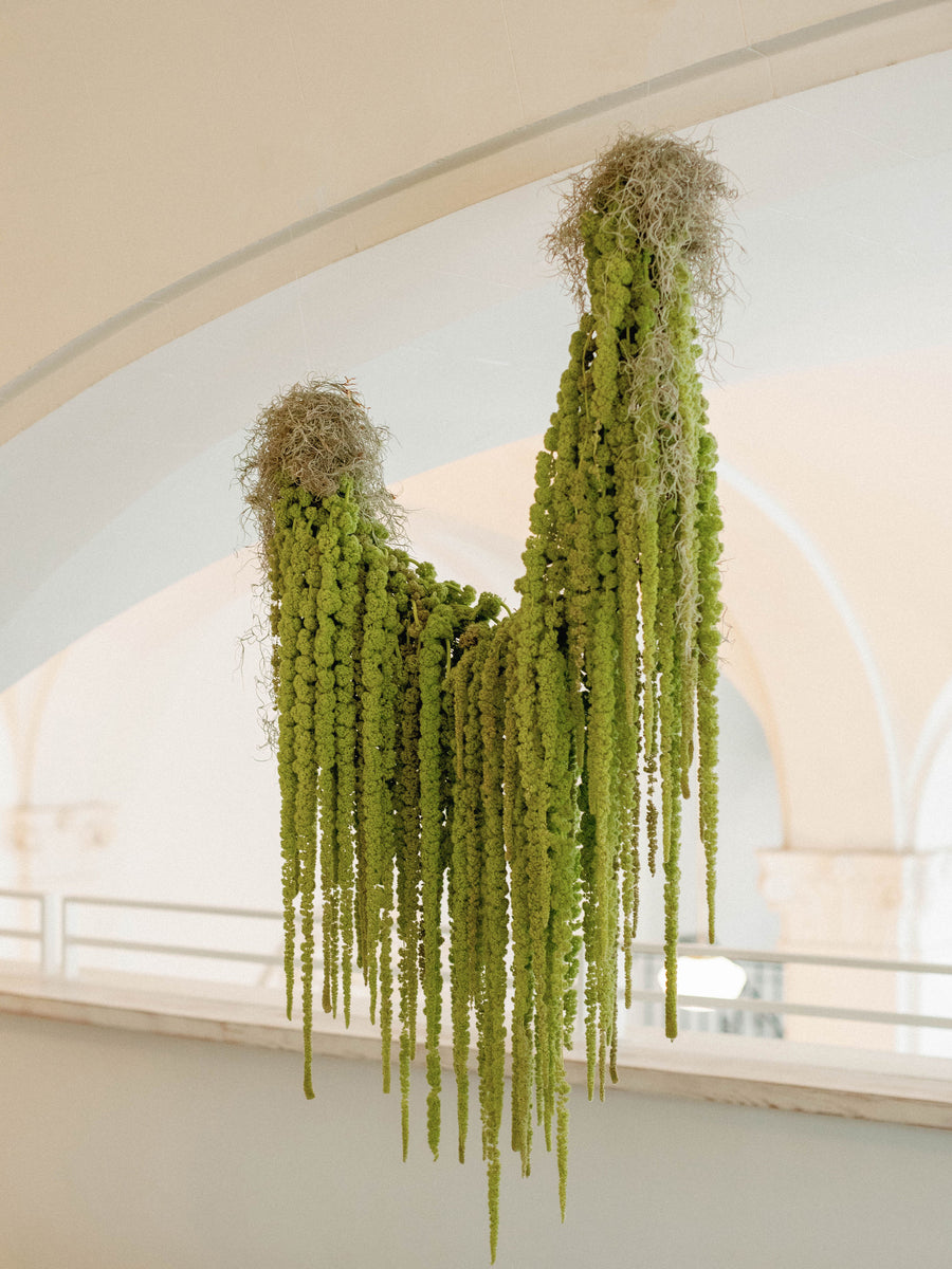 FIELD - Richmond, VA - Bouquets, Arrangements, Weddings, Deliveries